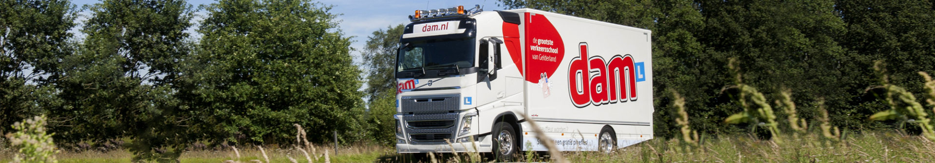 Cursus professionele verkeersdeelname | Code 95 | Verkeersschool Dam